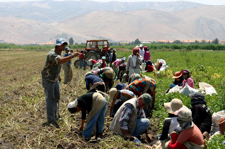 Syrian refugees in Jordan welcome work permits, but challenges persist ...